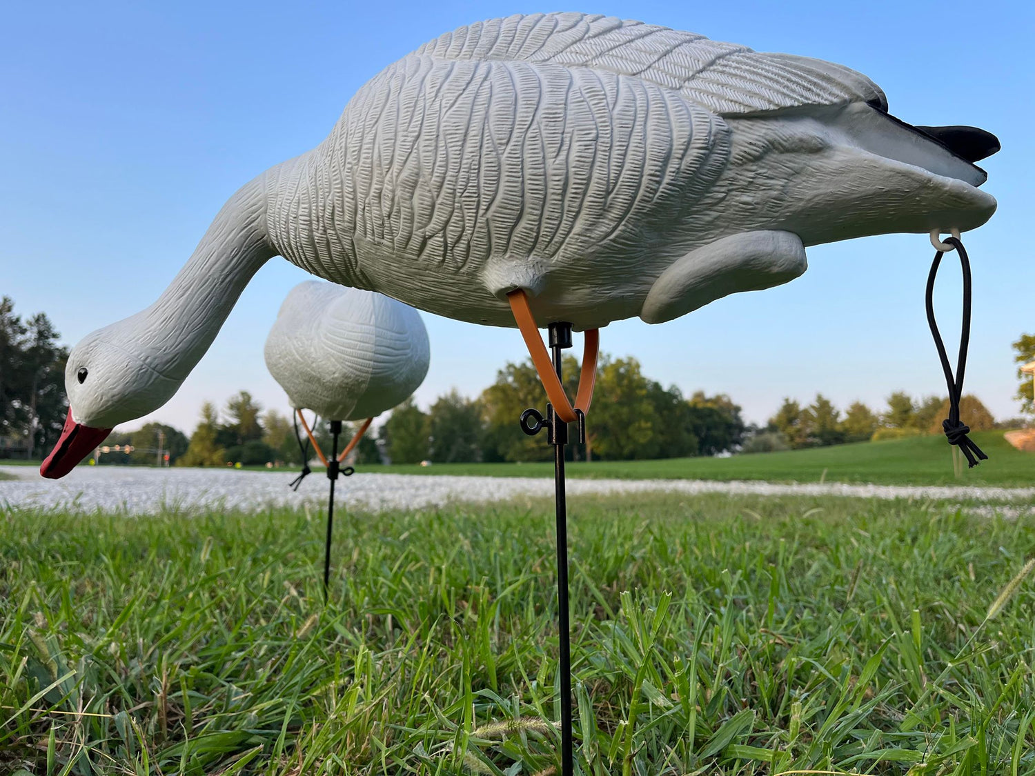 Full Body Snow Goose Decoys "PE Plastic"