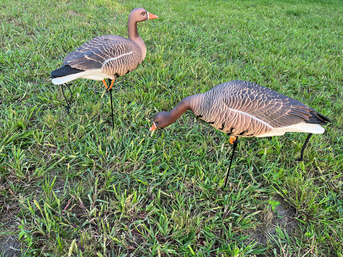 Full Body Specklebelly Goose Decoys