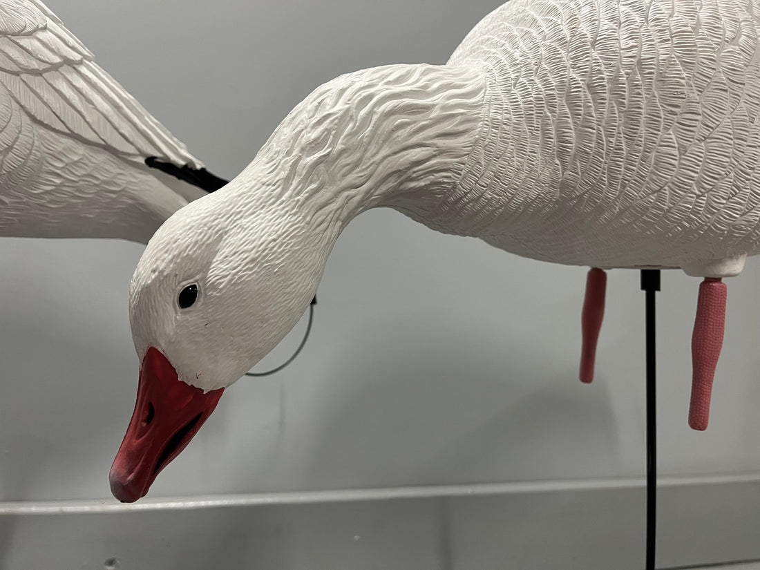 Full Body Snow Goose Decoys "PE Plastic" (hard body) - “Per 6-Pack”