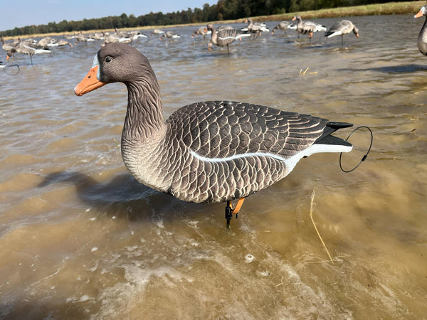 Full Body Specklebelly Goose Decoys "EVA Plastic" (flexible body) - "P
