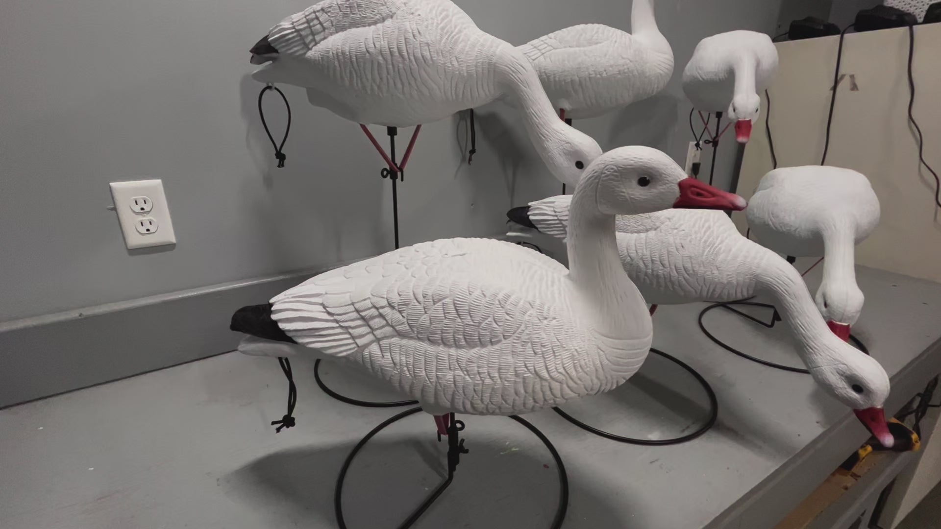 Full Body Snow Goose Decoys "PE PLASTIC" with Ring Bases - "Per 6-Pack