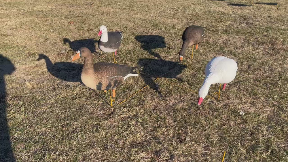 RAPID RACK - Decoy Deployment System (3-Pack - holds 12 decoys)
